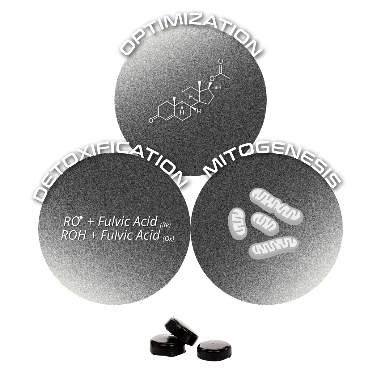 PANACEA (Pure Shilajit Tablets) – MITOLIFE